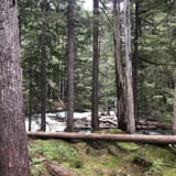 Upper Priest River Trail, Idaho - 86 Reviews, Map | AllTrails
