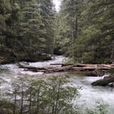 Upper Priest River Trail, Idaho - 86 Reviews, Map | AllTrails