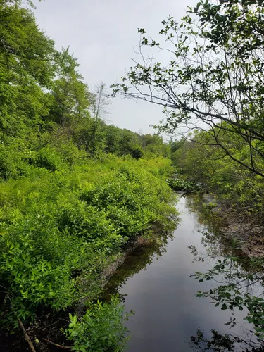 Best Hikes and Trails in P. J. Hoffmaster State Park | AllTrails