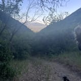 Spring Canyon Trail, Utah - 384 Reviews, Map | AllTrails