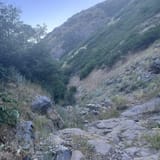 Spring Canyon Trail, Utah - 384 Reviews, Map | AllTrails