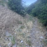 Spring Canyon Trail, Utah - 384 Reviews, Map | AllTrails