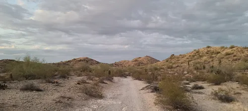 10 Best Trails and Hikes in Tempe | AllTrails