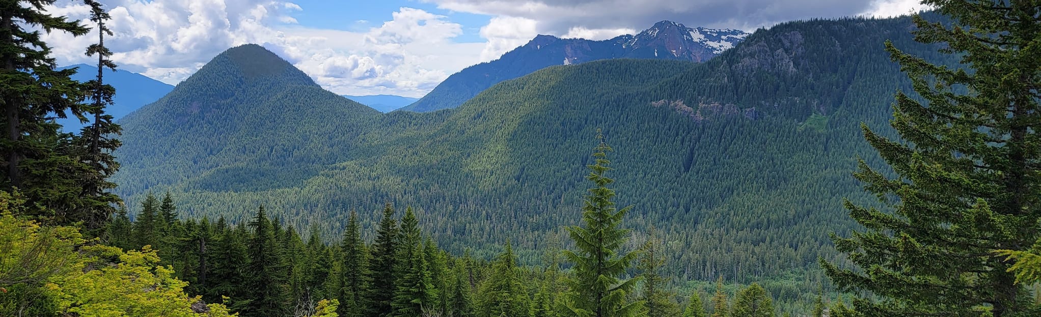 Rampart Ridge Loop: 2,006 Reviews, Map - Washington | AllTrails