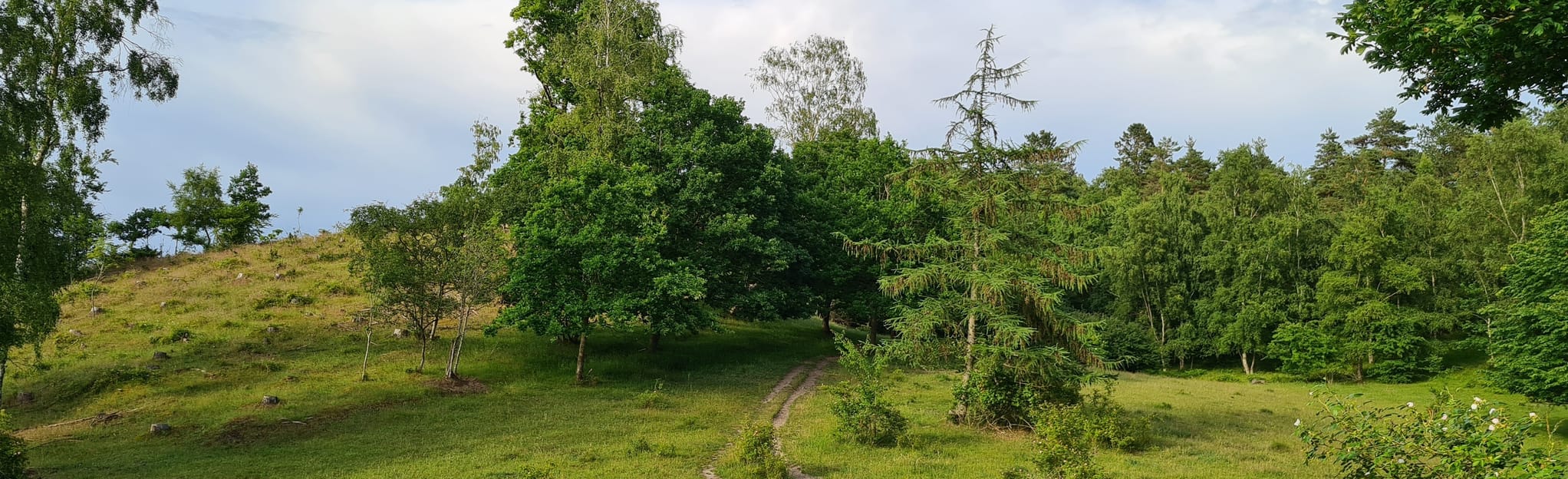 Femmøller Mols Bjerge, Central Denmark Region, Denmark - 75 Reviews ...