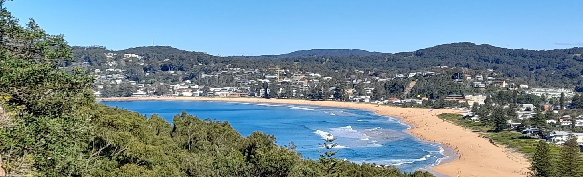 The 5 Lands Walk: 12 Reviews, Map - New South Wales, Australia | AllTrails