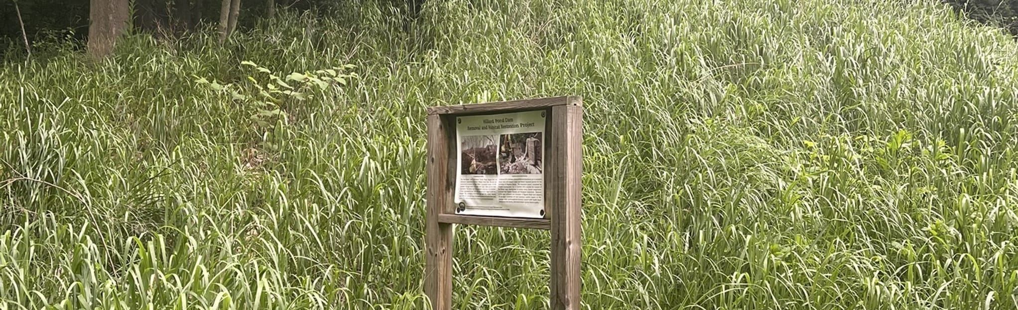 Purdy Nature Park Bigelow Brook Loop, Connecticut - 12 Reviews, Map ...