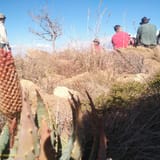 Majakaneng Heritage Trail, North West, South Africa - 23 Reviews, Map ...
