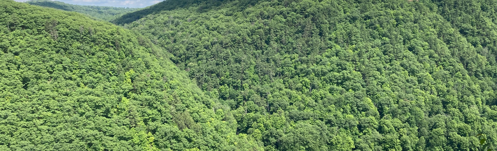 Colton Point Rim and Turkey Path Trail Loop: 143 Reviews, Map ...