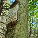 Middlesex Fells Reservation Loop Trail, Massachusetts - 527 Reviews ...