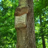 Middlesex Fells Reservation Loop Trail, Massachusetts - 527 Reviews ...