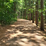 Middlesex Fells Reservation Loop Trail, Massachusetts - 527 Reviews ...