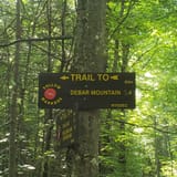 Debar Mountain Trail, New York - 170 Reviews, Map | AllTrails