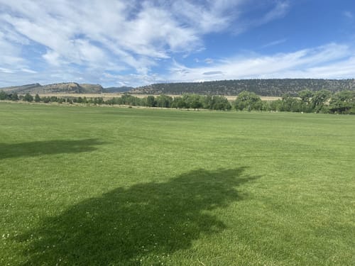 Best Hikes and Trails in Spring Canyon Park | AllTrails