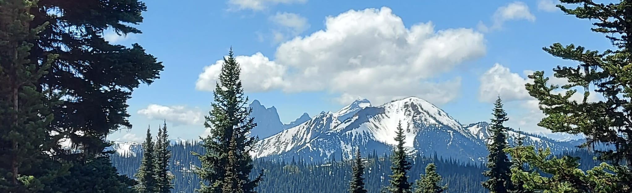 Grassy Mountain - Bojo Mountain - Mara Peak: 14 Fotos - British ...