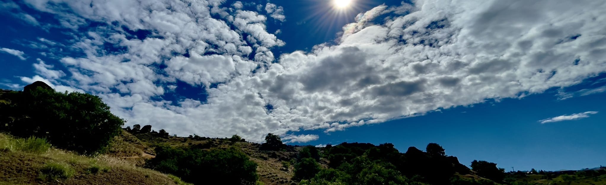 Table Rock Trail and Quarry Loop: 411 Reviews, Map - Idaho | AllTrails