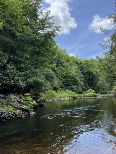 Best Hikes and Trails in Cousler Park | AllTrails