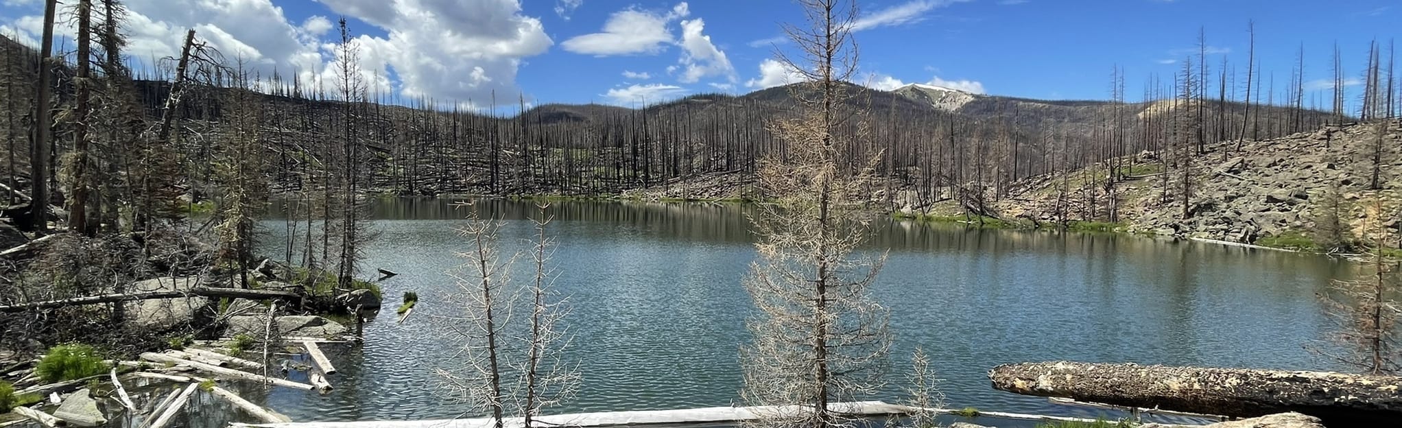 Lost Lake Trail from Wolverine Bypass, Colorado - 56 Reviews, Map ...