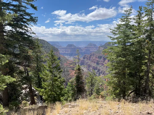 10 Best Easy Trails in North Rim | AllTrails