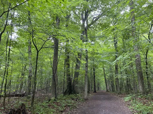 10 Best Trails and Hikes in Kingston | AllTrails