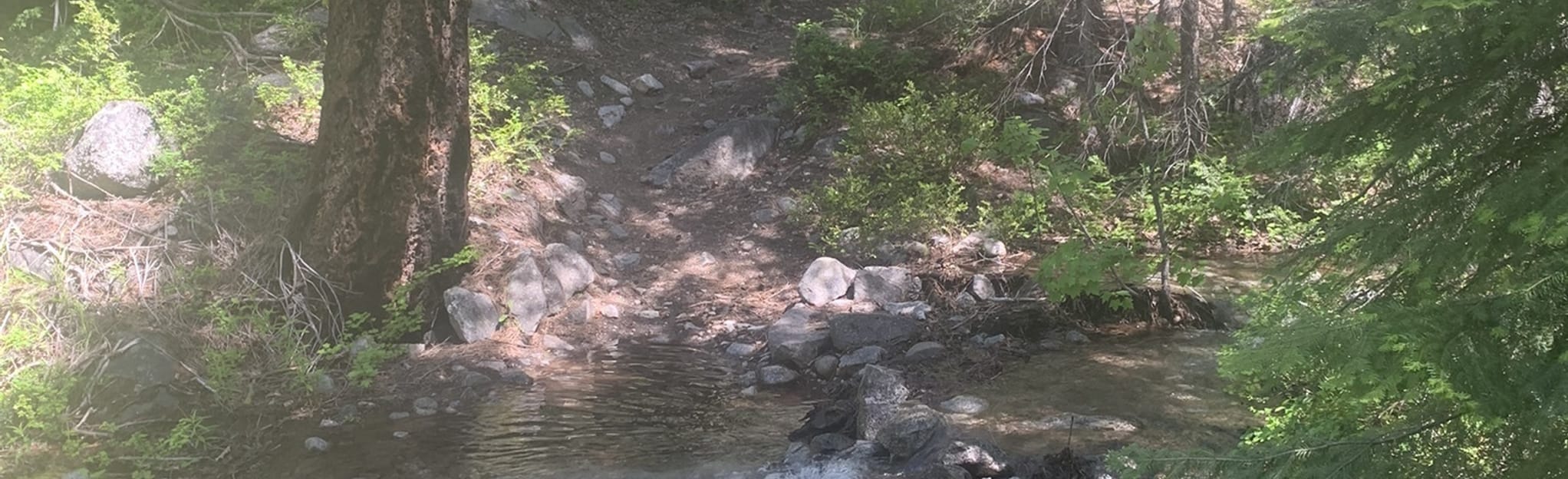 Entiat River OHV Trail | Map, Guide - Washington | AllTrails