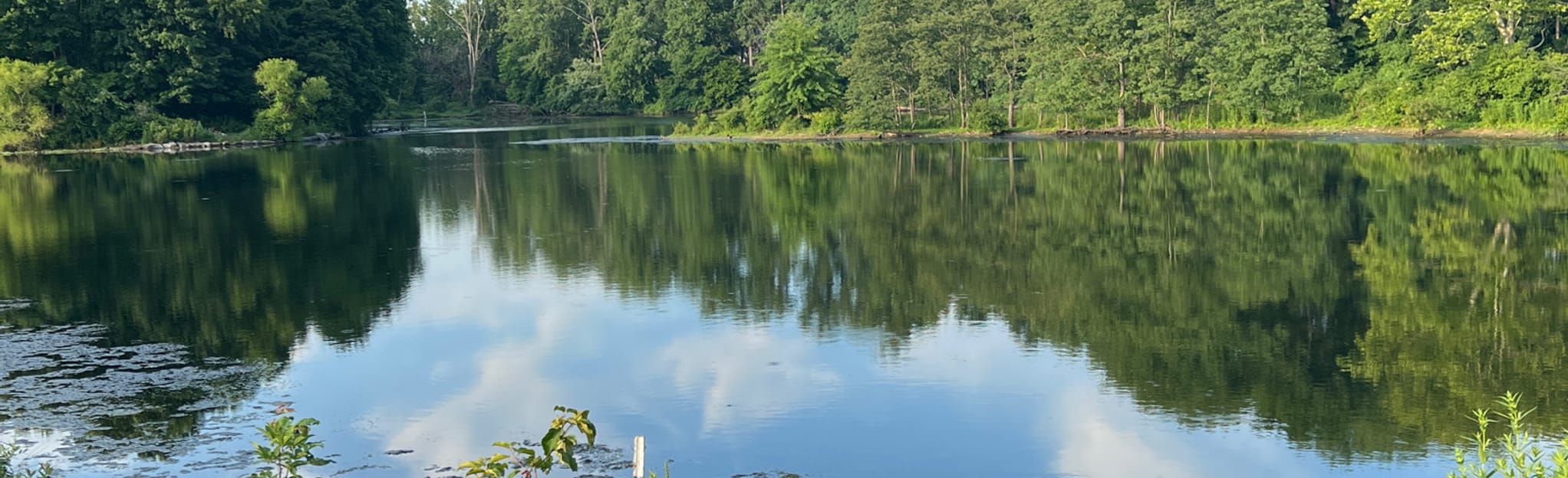 AllTrails | Gunner’s Lake Trail: 171 Reviews, Map - Maryland