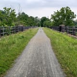 Thun Trail, Pennsylvania - 316 Reviews, Map | AllTrails