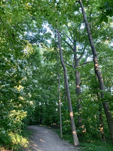Best Hikes and Trails in Deer Run Park | AllTrails
