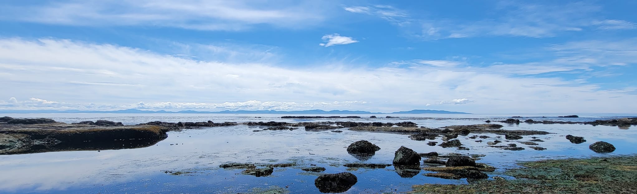 Botanical Beach: 101 Reviews, Map - British Columbia, Canada | AllTrails