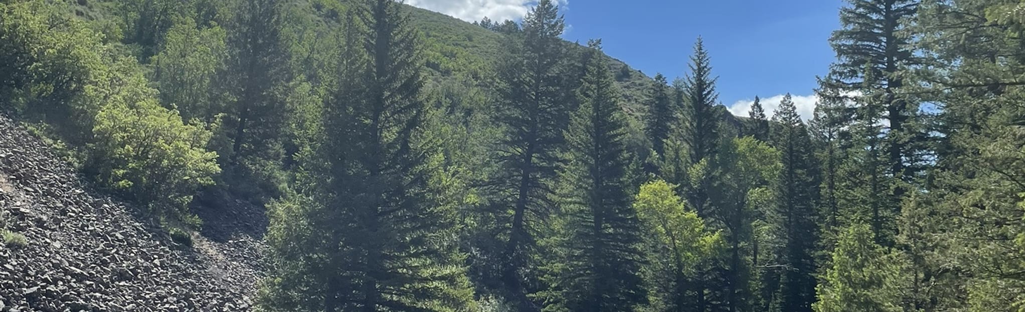 King Solomon Falls: 37 Reviews, Map - Colorado | AllTrails