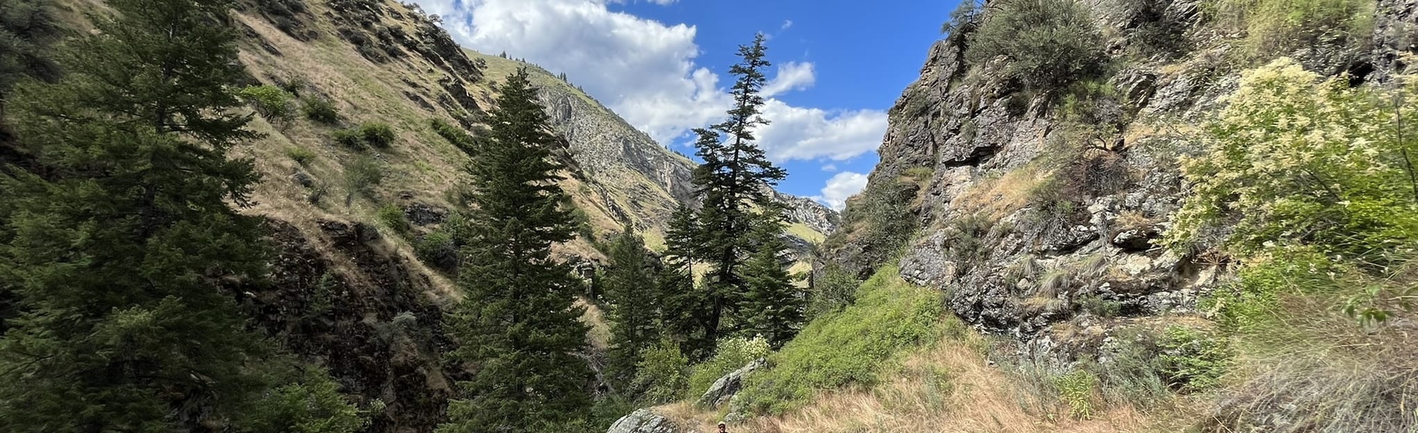 Rapid River Trail: 174 Reviews, Map - Idaho | AllTrails
