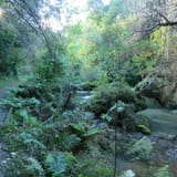 Tangoio Walkway [CLOSED], Hawke's Bay, New Zealand - 35 Reviews, Map ...