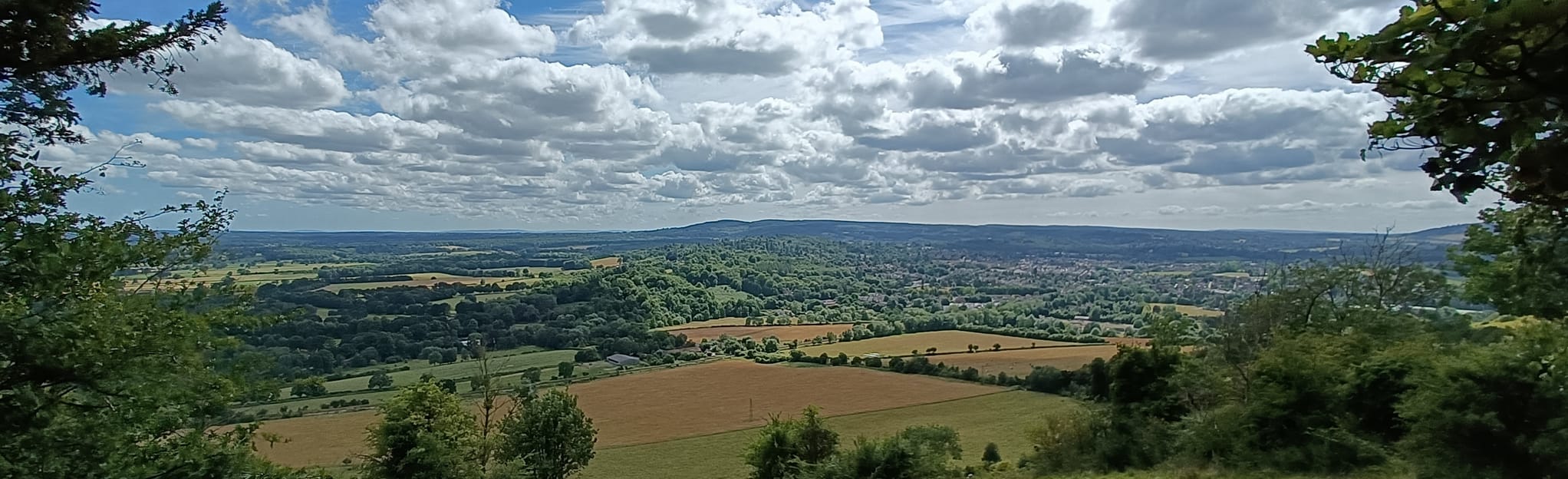 Box Hill Circular, Surrey, England - 375 Reviews, Map | AllTrails