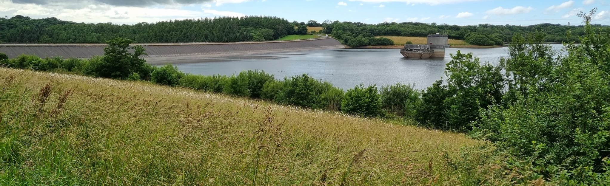 Roadford Lake Park Circular: 14 fotos - Devon, Inglaterra | AllTrails