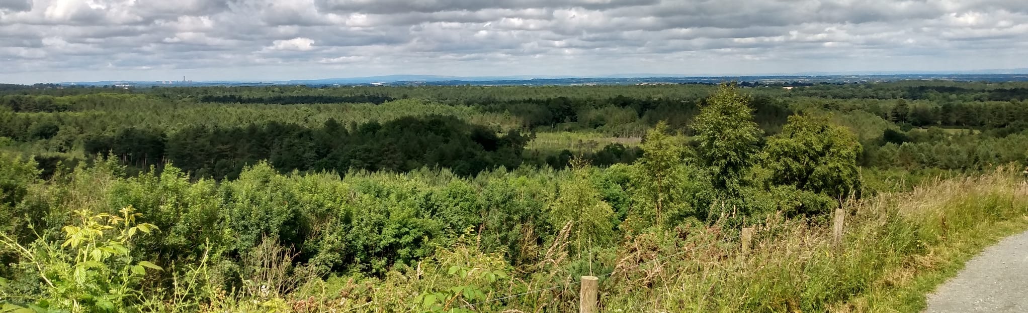 Old Pale Hill and Delamere Forest - Cheshire, England | AllTrails