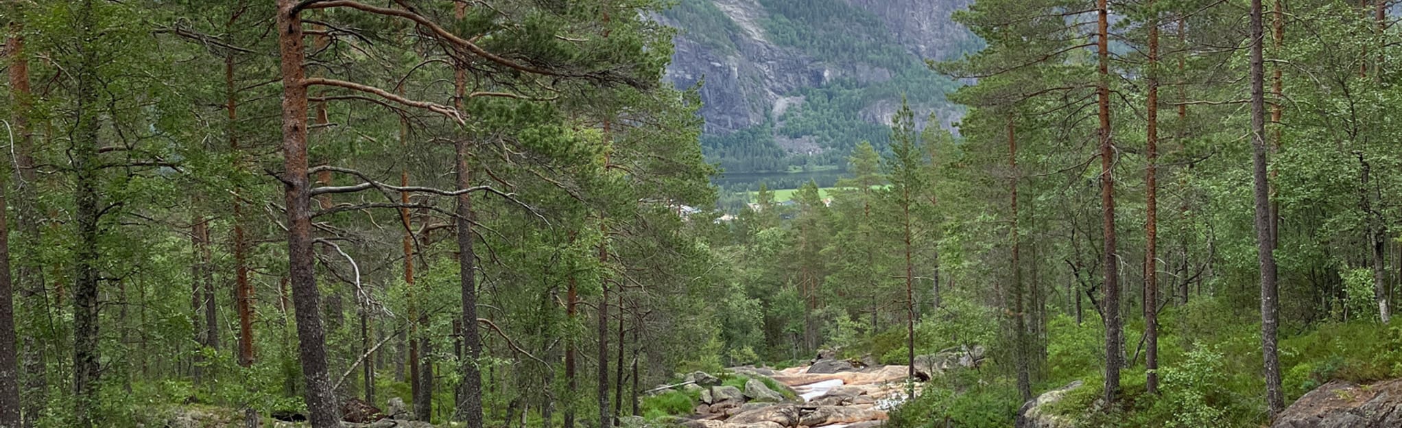 Rysstad Nature Park, Agder, Norway - 20 Reviews, Map | AllTrails