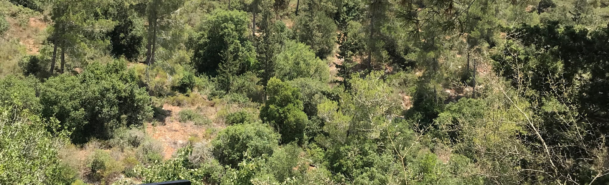 Ori Path and Nahal Katia Trail, Haifa, Israel - Map, Guide | AllTrails