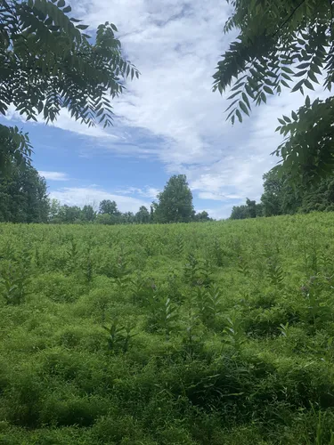 10 Best Hikes and Trails in Cromwell Valley Park | AllTrails