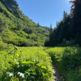 Johnson Pass Trail to Bridge, Alaska - 37 Reviews, Map | AllTrails