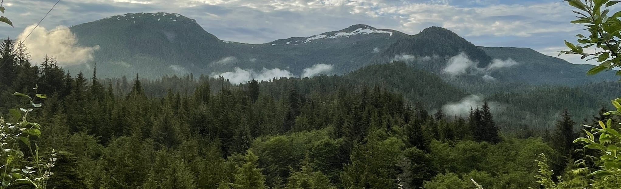 Ward Lake and Ward Creek Trail: 52 Reviews, Map - Alaska | AllTrails