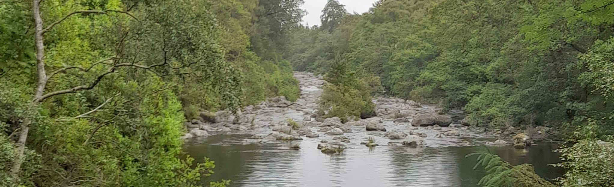 River Orrin Circular, Highlands, Scotland - 23 Reviews, Map | AllTrails