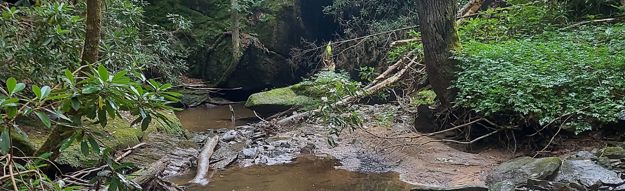 Lick Creek Falls Trail: 364 Reviews, Map - Kentucky | AllTrails