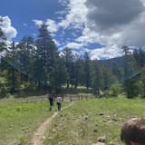 Elk Creek Trail, Colorado - 206 Reviews, Map | AllTrails
