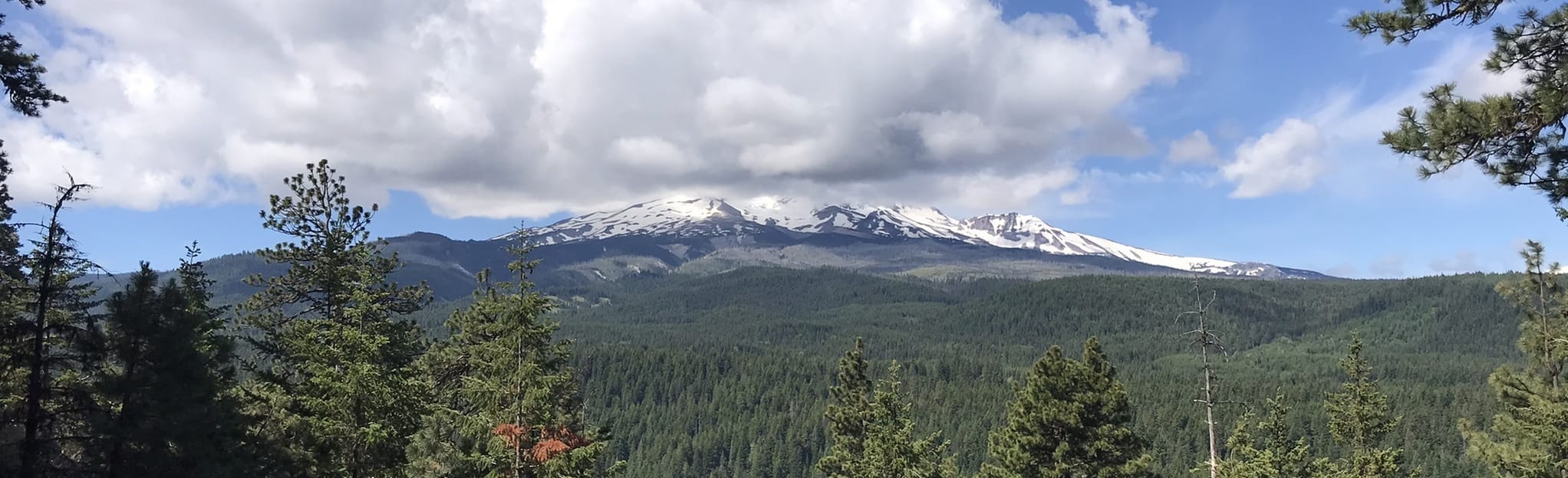 Dog River Trail, Oregon - 203 Reviews, Map | AllTrails