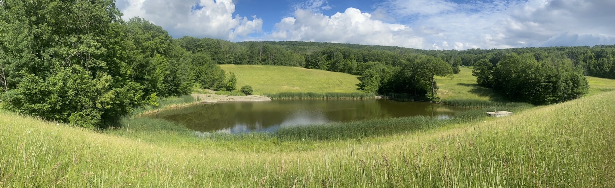 Wittman Dam Trail, New York - 231 Reviews, Map | AllTrails