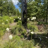 Boulder Lake, Montana - 46 Reviews, Map | AllTrails