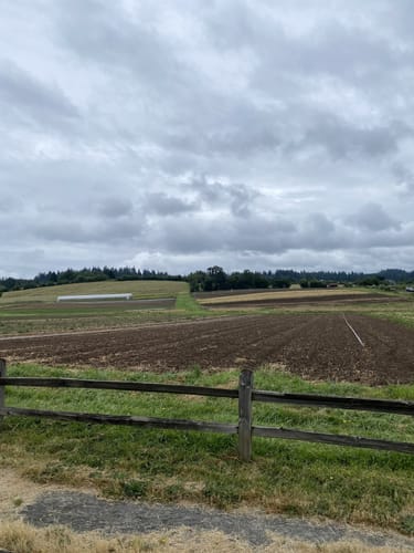 Best Hikes and Trails in Luscher Farm Park | AllTrails