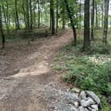 Ellerslie Park Loop, Georgia - 109 Reviews, Map | AllTrails