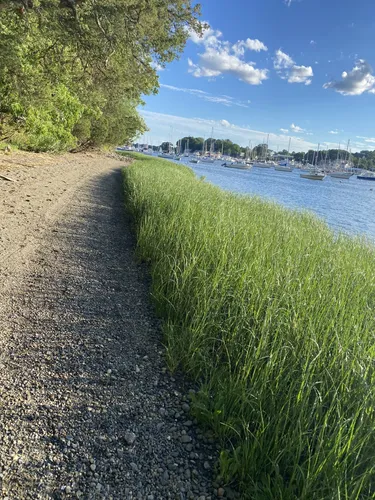 10 Best Trail Running Trails in Rhode Island | AllTrails