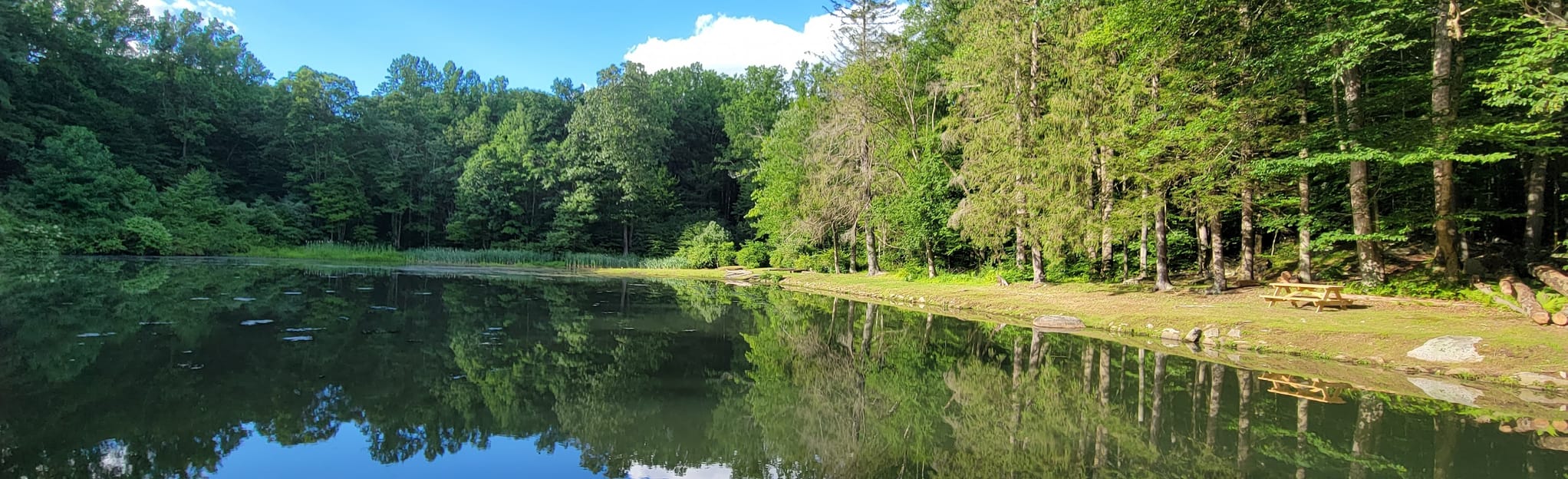 Tiger Brook Red and Purple Trail Loop, New Jersey - 14 Reviews, Map ...